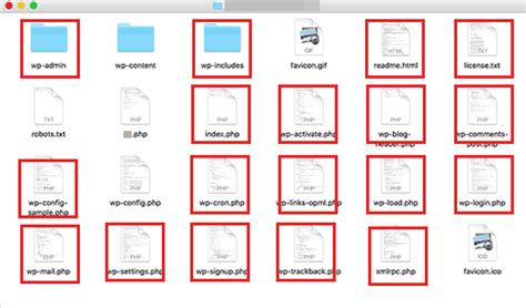 beginner s guide to wordpress file and directory structure