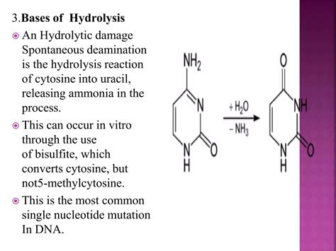 Dna Damage Types By Kk Sahu Pptx