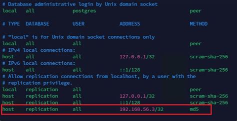 lesson 4 postgresql 16 replication akitect