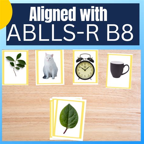 Match Sort Non Identical Pictures For Aba Autism Ablls R B8 With Photos Made By Teachers