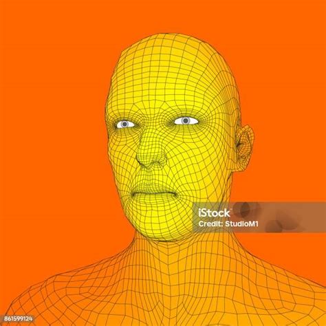 3 차원 격자에서 사람의 머리입니다 인간의 머리 모델을 연결합니다 인간의 다각형 머리입니다 얼굴 검색입니다 인간의 머리의 보기입니다 3d 형상 얼굴 디자인입니다 3d 다각형