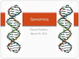 PPT Genomics PowerPoint Presentation Free Download ID 2367029