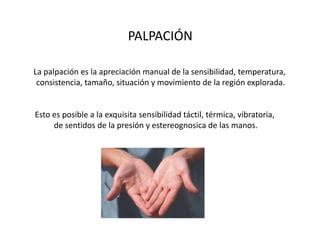 Presentación De Palpación Pptx