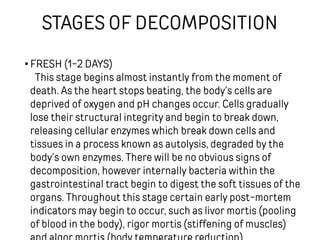 Decomposition And It Stages And Types Of Decomposition Pptx