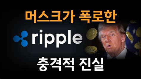 리플xrp 머스크가 폭로한 충격적 진실 Youtube