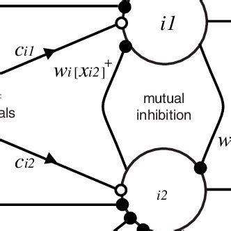 Structure Of Neural Oscillator Download Scientific Diagram