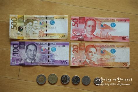 필리핀 세부 자유여행 필리핀 보홀 여행 정보 총정리 세부 날씨 건기 우기 세부 물가 교통 비자 치안 필리핀 화폐 페소 환율 세부 현지 여행사 세부 지도