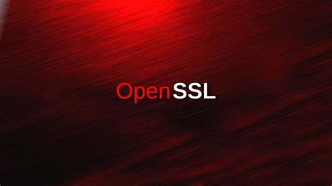 Openssl Fixes Two High Severity Vulnerabilities What You Need To Know Hans Kortekaas