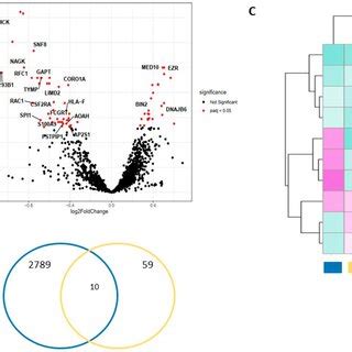 RNA Sequencing Profiles Analysis Of Peripheral Blood Mononuclear Cells Download Scientific
