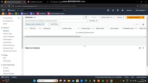 [video] tilak badsheshi on linkedin aws devops ec2 cloudwatch sns