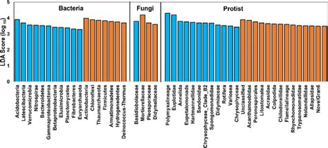 Linear Discriminate Analysis Effect Size Lefse Analysis Of Bacterial