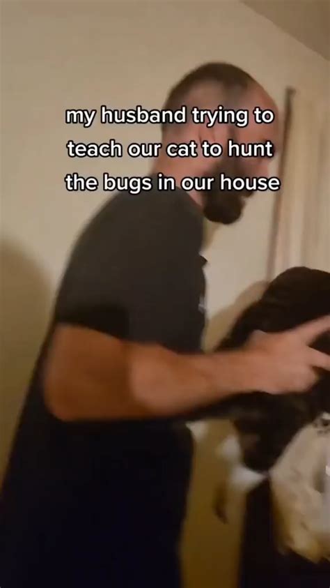 C Bug Hunting Rcat