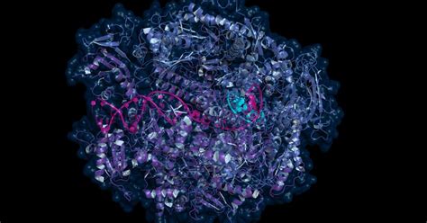 Unveiling Drug Targets With Precision Leveraging Quantitative Proteomics Evotec