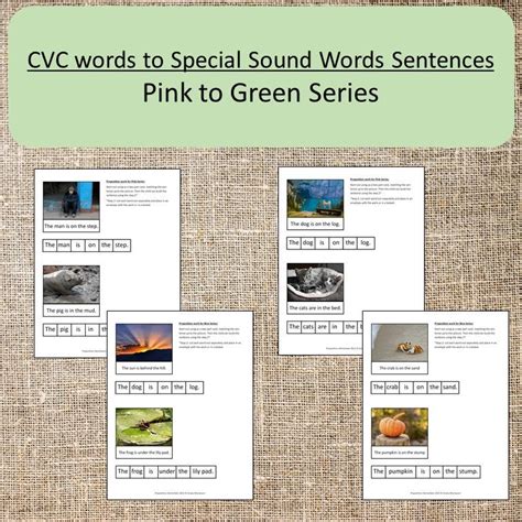 Preposition Work Elementary Montessori Homeschool Worksheets Reading