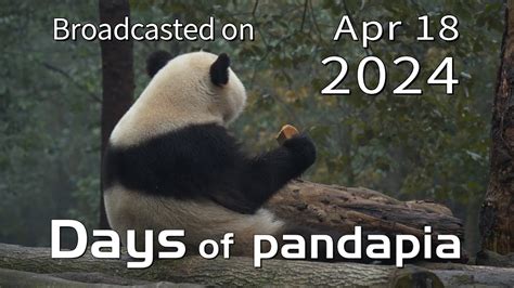 20240418 Broadcast Top Highlights 12 Youtube