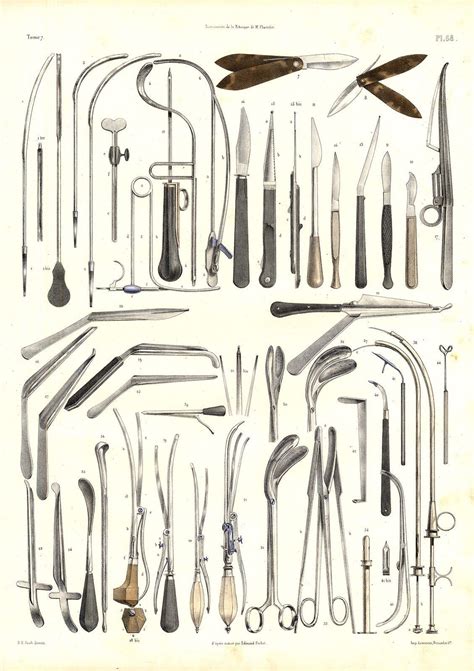 Antique Medical Anatomy Print Lithotomy Surgical Instruments