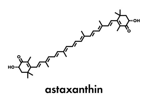 Astaxanthin Supplements Over 15 Royalty Free Licensable Stock Vectors