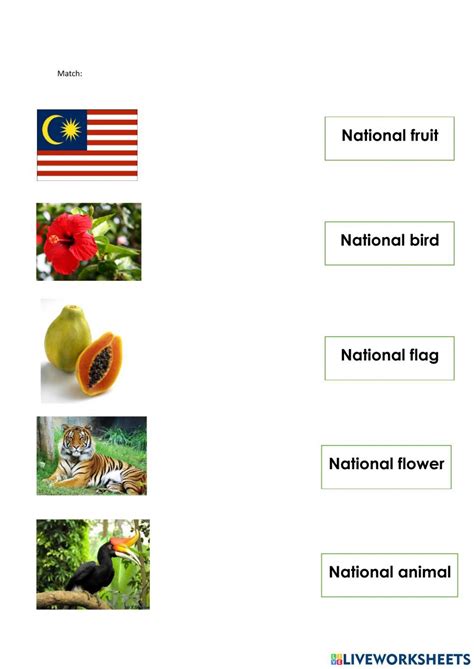 Malaysia Identiti Worksheet Economics Lessons