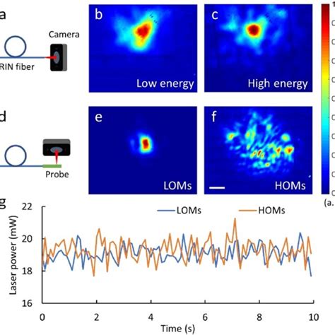 High Sensitivity And High Spatial Resolution Lipid Detection Through Download Scientific