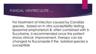 Diagnosis And Management Of Ventriculitis Pptx