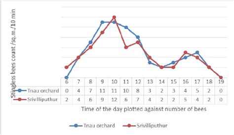 Foraging Activity Of Stingless Bee Inside The Greenhouse Floral Download Scientific Diagram