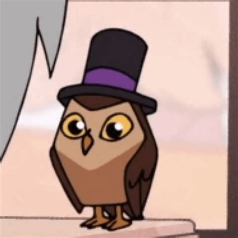 We Can Talk About How Cute Owlbert Looks In This Photo Rtheowlhouse