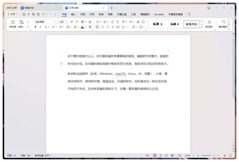 Wps 电信定制版 真香！无广告 内置 Vba 免登录 小羿