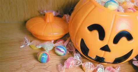 The Best Egg Anatomy Printable With 10 Discussion Questions