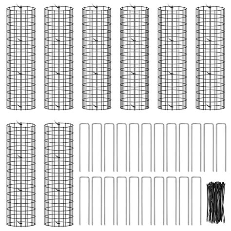 I Tested Metal Tree Guards For Deer And Heres Why Theyre A Must Have