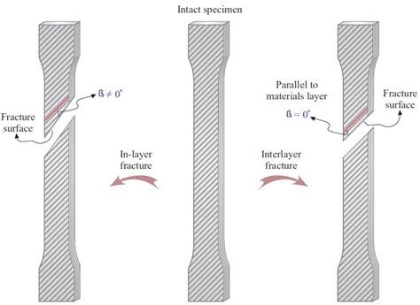 Schematics Of Interlayer And In Layer Fractures Download Scientific Diagram