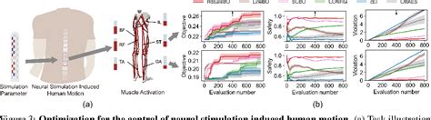Figure 3 From Safe Bayesian Optimization For The Control Of High Dimensional Embodied Systems