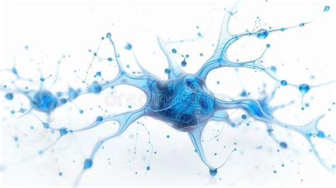 Neuron Isolated White Background Stock Illustrations 2 245 Neuron