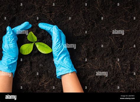 Soil Tree Hi Res Stock Photography And Images Alamy