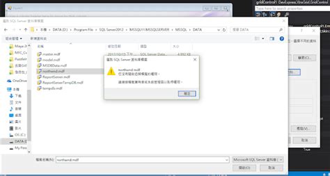 SQL Server權限問題分析解決 兩種錯誤探討 MSSQL正確連接本機端介面GridControl操作流程