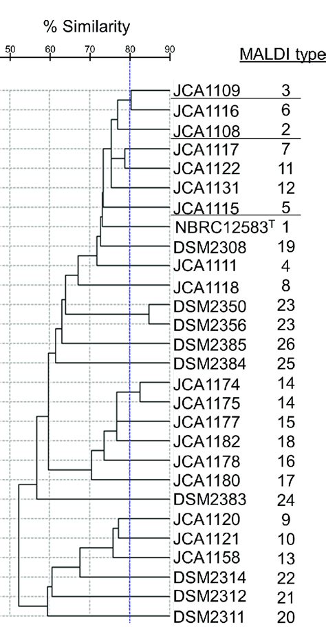 dendrogram of bacillus coagulans maldi tof ms spectra based on saramis