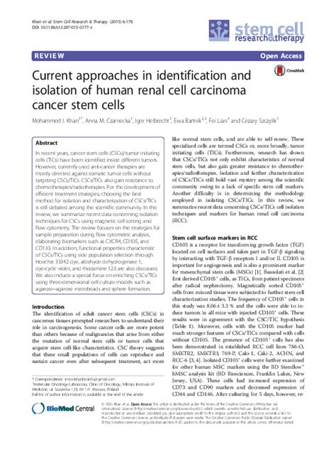 Pdf Current Approaches In Identification And Isolation Of Human Renal