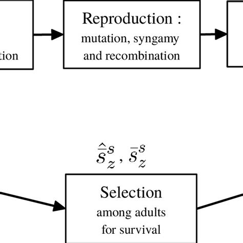 Pdf On Deleterious Mutations In Perennials Inbreeding Depression Mutation Load And Life