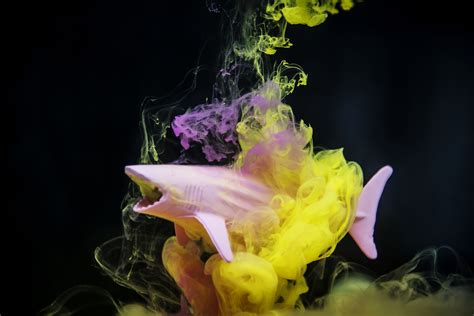 무료 이미지 추상 아크릴 미술 예술적 검은 배경 혼합 선명한 파열 구름 물에 색을 입히다 화려한 대조 창조적 인 위험 장식 깊은 디자인