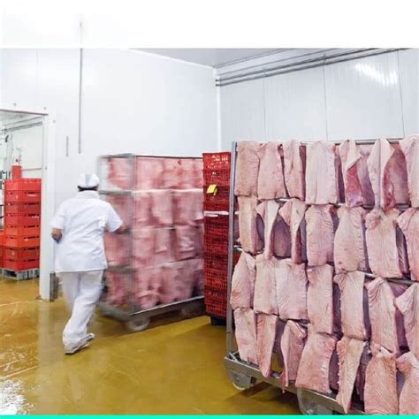 Almacenamiento En Frío Para Carne Del Fabricante Chino Freezepro