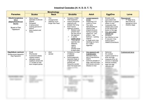 Solution Intestinal Cestodes Morphology Notes Studypool
