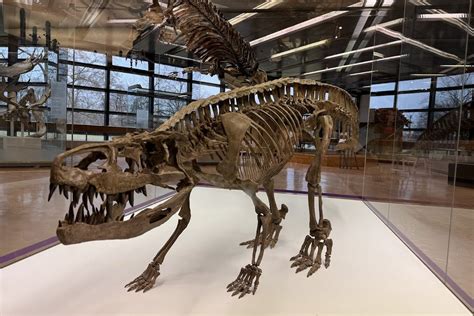 Sonderausstellung Triassic Life Staatliches Museum Für Naturkunde Stuttgart