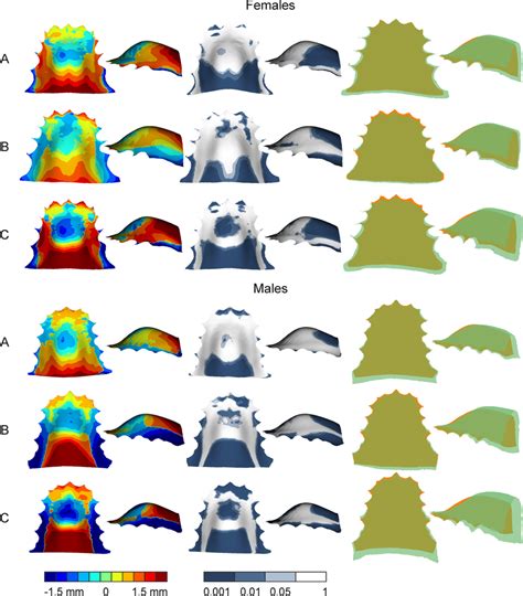 colour coded maps left shall distance significance maps middle and