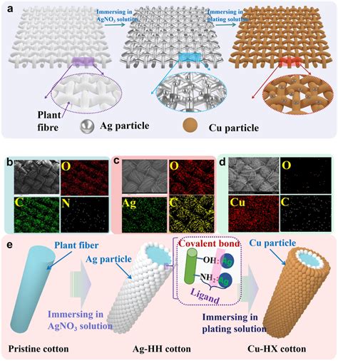 Structural Representation Of Cu Hx Woven Fabric A Surface Mapping Download Scientific