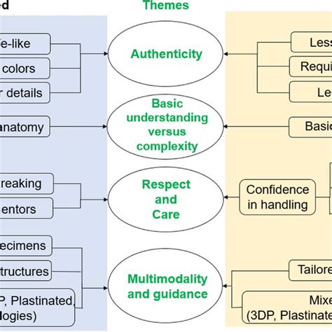 The Four Themes Perceived Authenticity Basic Understanding Versus Download Scientific Diagram