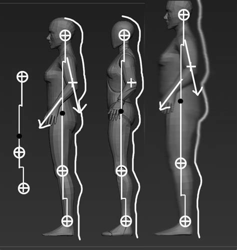 Anatomypose Help Sculptingrigging Pose — Polycount