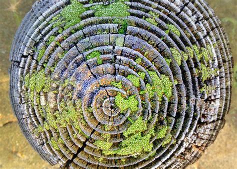 The Scout List Vol Scout Magazine