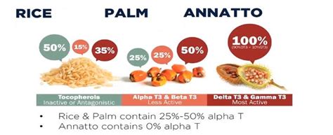 Best Vitamin E Tablets Online Vitamins Are The Most Essential Part Of