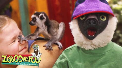 Zoboomafoo Cartoon Network