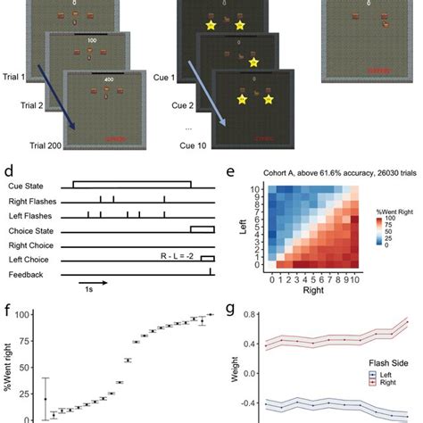 An Online Game To Evaluate Evidence Accumulation During Perceptual Download Scientific Diagram