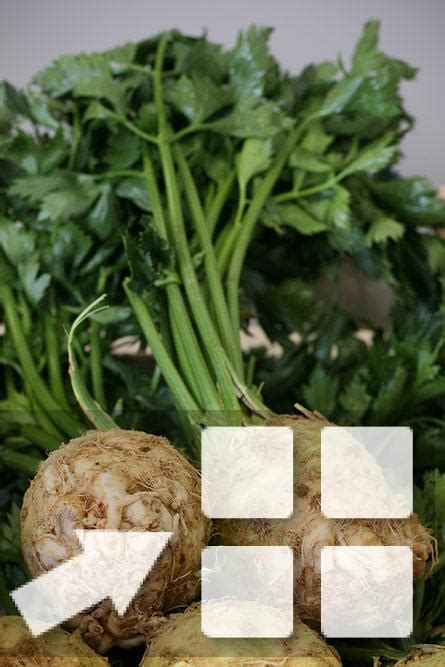 Celer | Produkty | Bramko